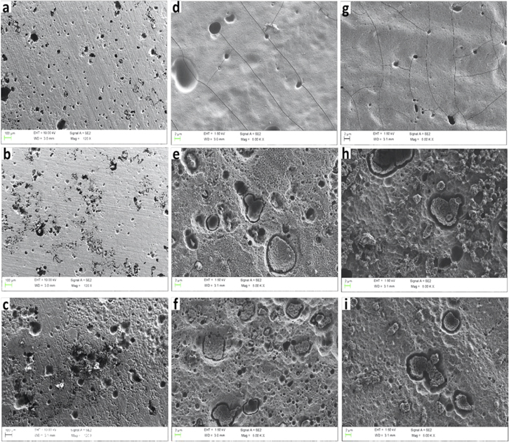Corrosion Testing of Anodized Aerospace Alloys: Comparison Between ...