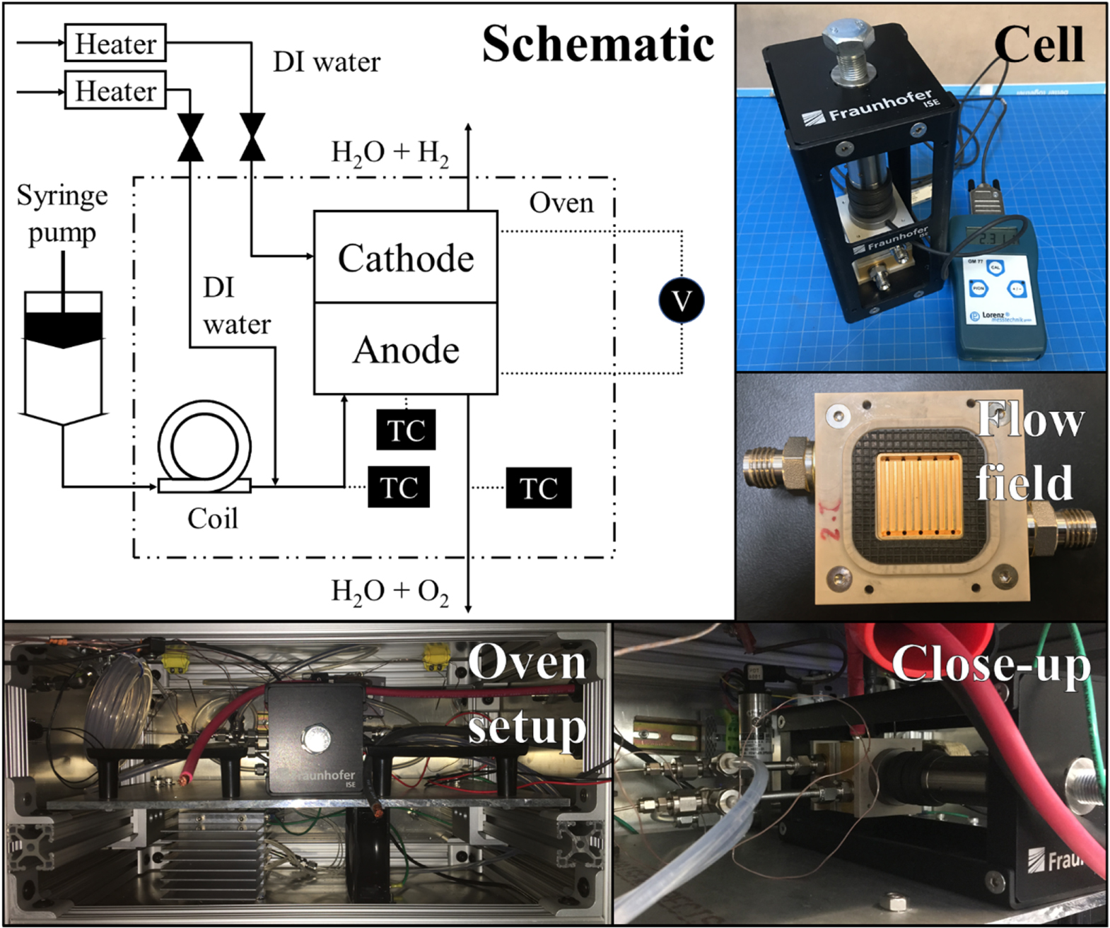 Effects of the Transport/Catalyst Layer Interface and Catalyst Loading ...