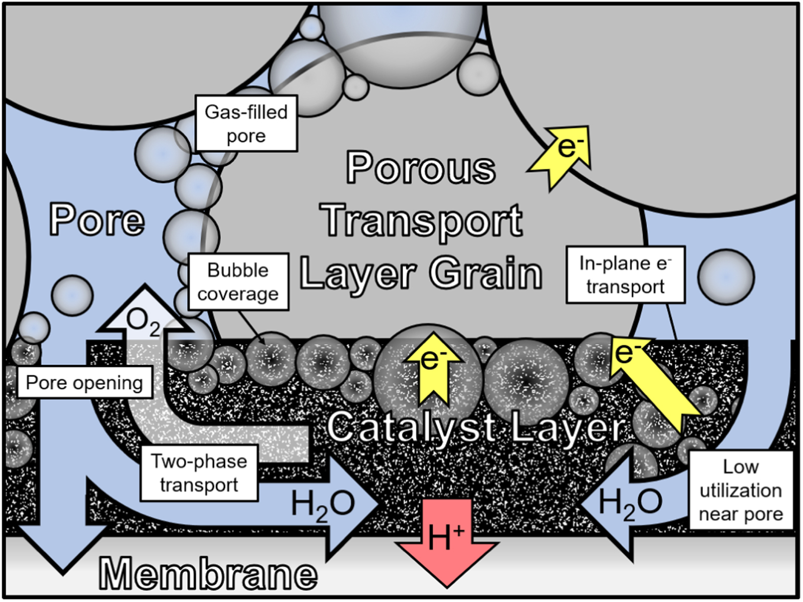 Effects of the Transport/Catalyst Layer Interface and Catalyst Loading ...