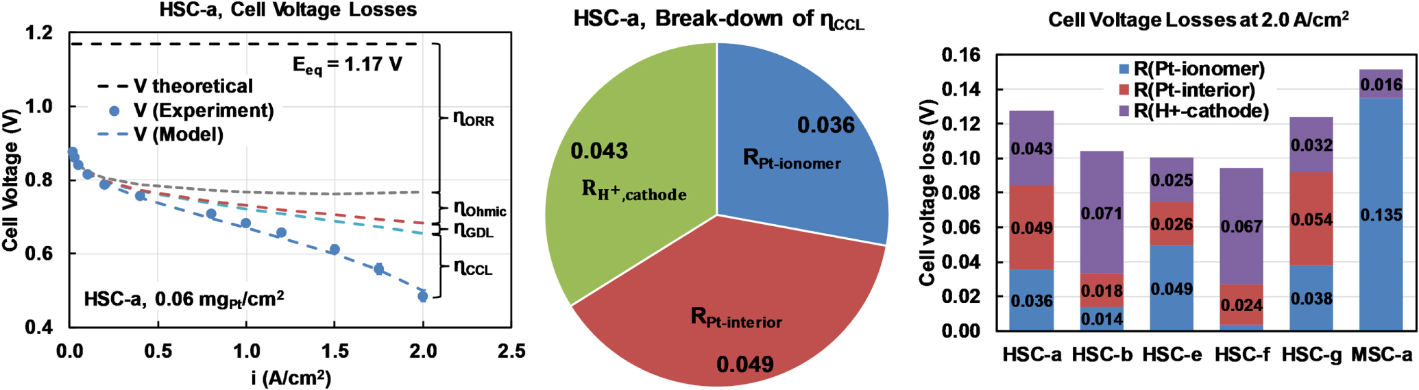 Carbon Support Microstructure Impact on High Current Density Transport ...