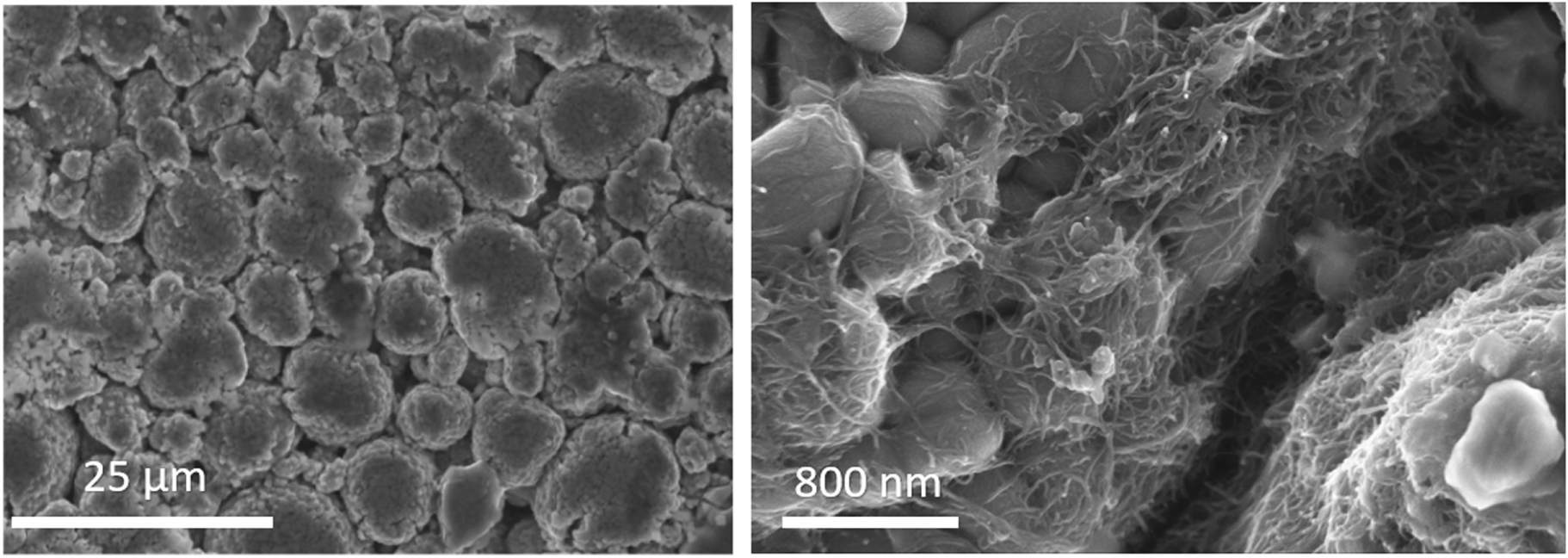 Development of Experimental Techniques for Parameterization of Multi ...