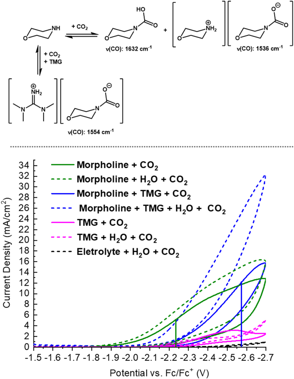 Electrochemical Reduction of Carbamates and Carbamic Acids ...
