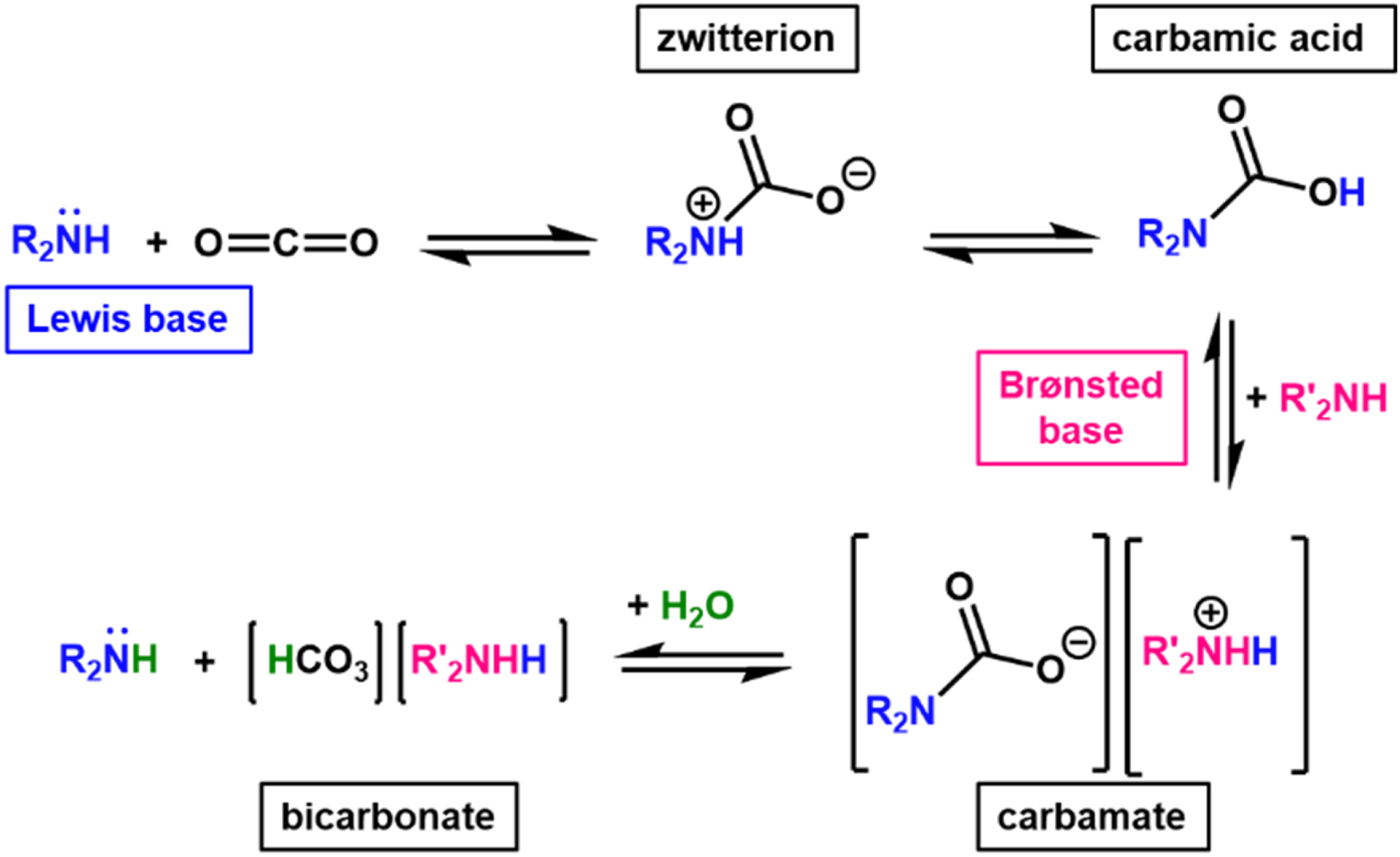 Electrochemical Reduction of Carbamates and Carbamic Acids ...
