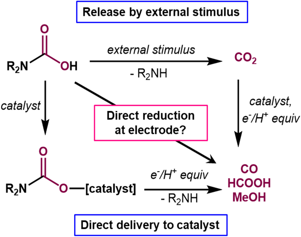 Electrochemical Reduction of Carbamates and Carbamic Acids ...