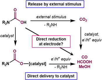 Electrochemical Reduction of Carbamates and Carbamic Acids ...