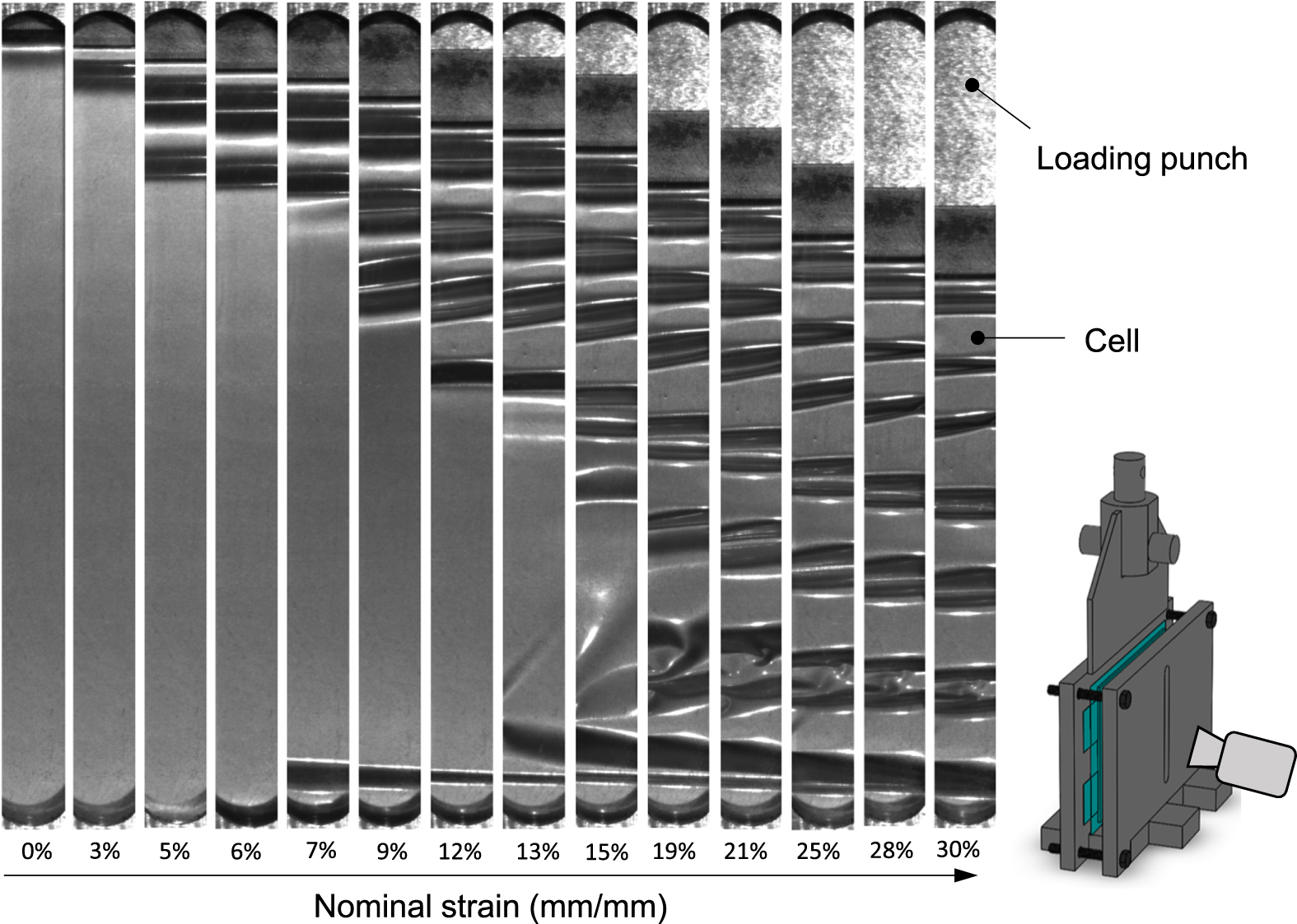 Mechanical Deformation of Lithium-Ion Pouch Cells under In-Plane Loads ...