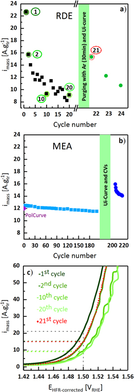 The Discrepancy in Oxygen Evolution Reaction Catalyst Lifetime ...