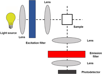 Review—Recent Progress in Portable Fluorescence Sensors - IOPscience