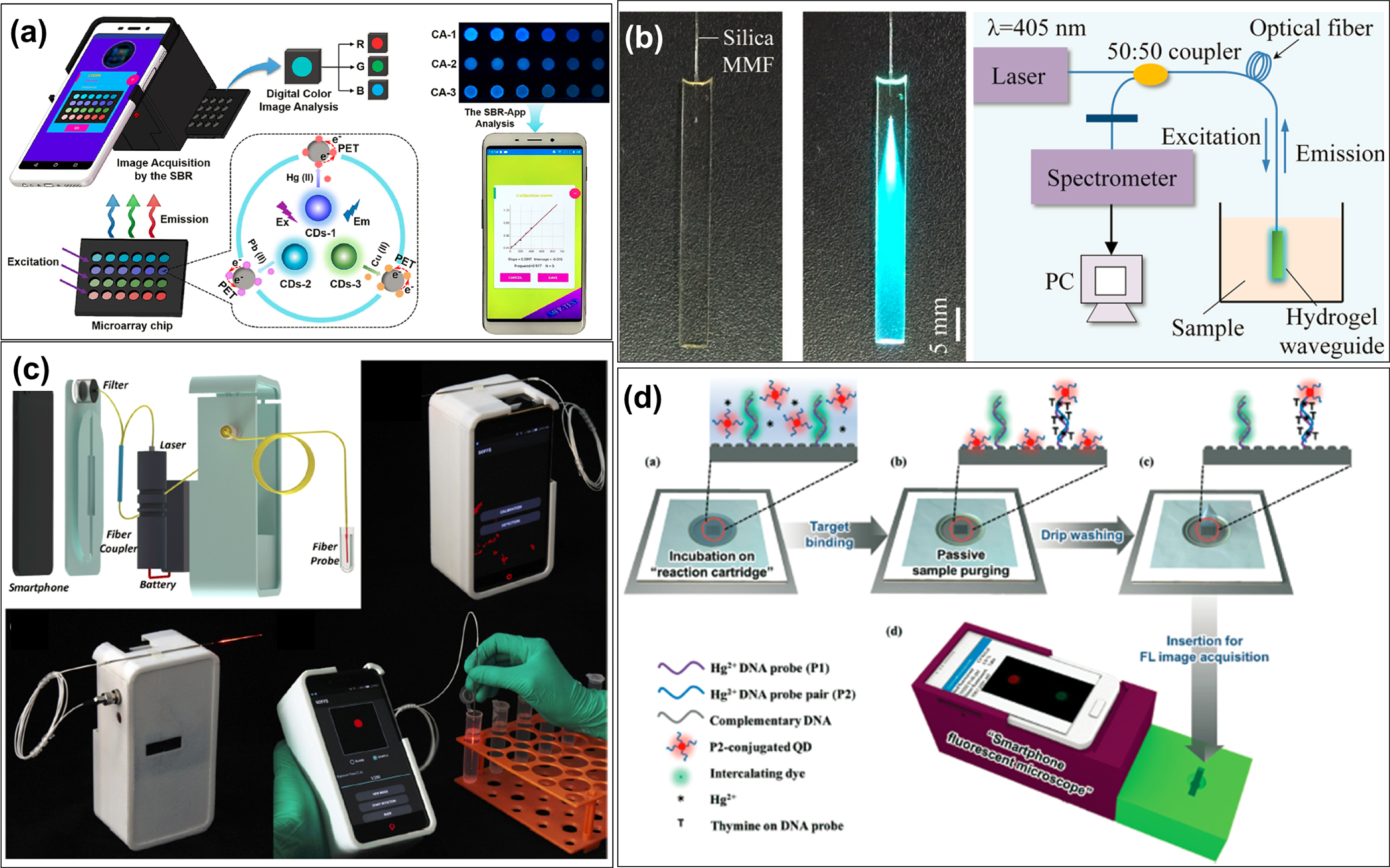 Review—Recent Progress in Portable Fluorescence Sensors - IOPscience
