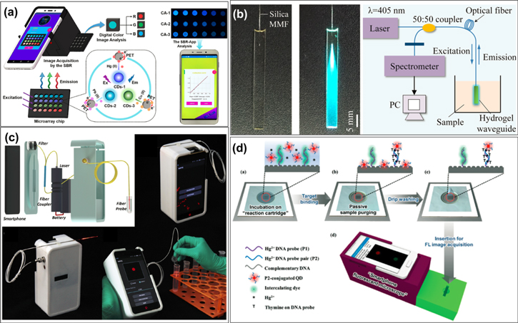 Review—Recent Progress in Portable Fluorescence Sensors - IOPscience