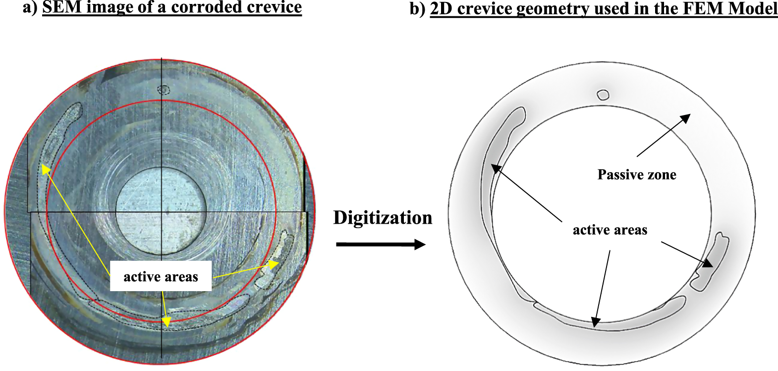 A Combined Experimental and Computational Approach to Study Crevice ...