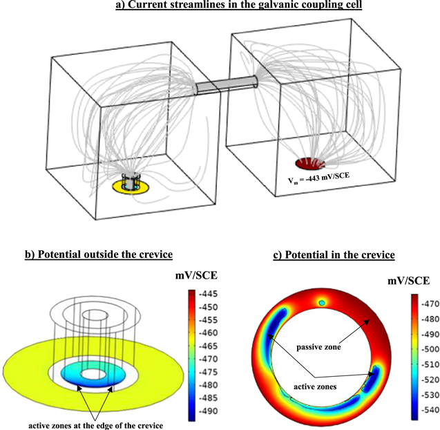 A Combined Experimental and Computational Approach to Study Crevice ...