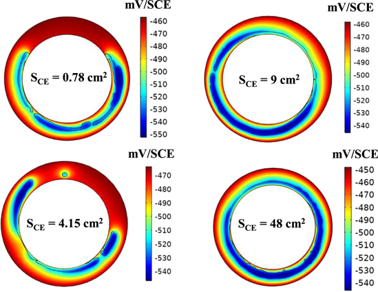 A Combined Experimental and Computational Approach to Study Crevice ...