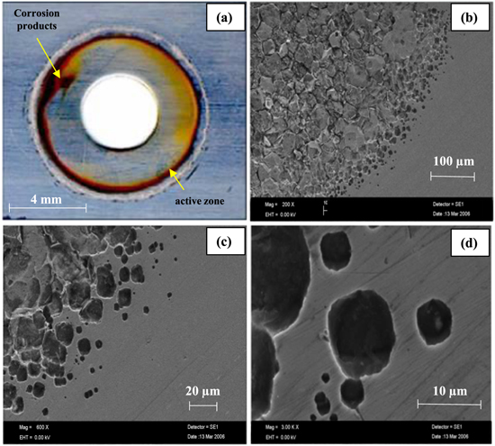 A Combined Experimental and Computational Approach to Study Crevice ...