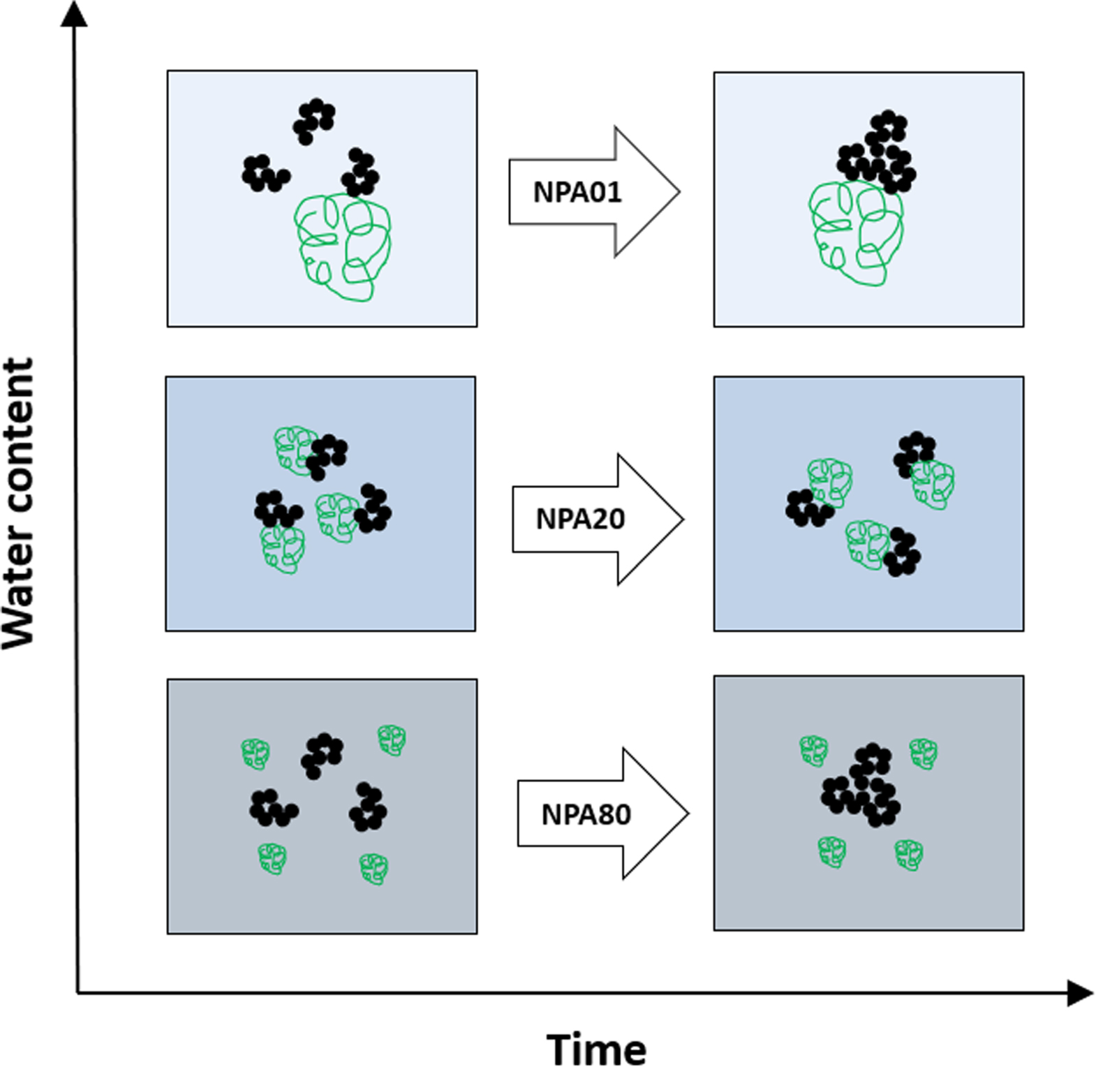 Characterization of Solvent-Dependent Ink Structure and Catalyst Layer ...