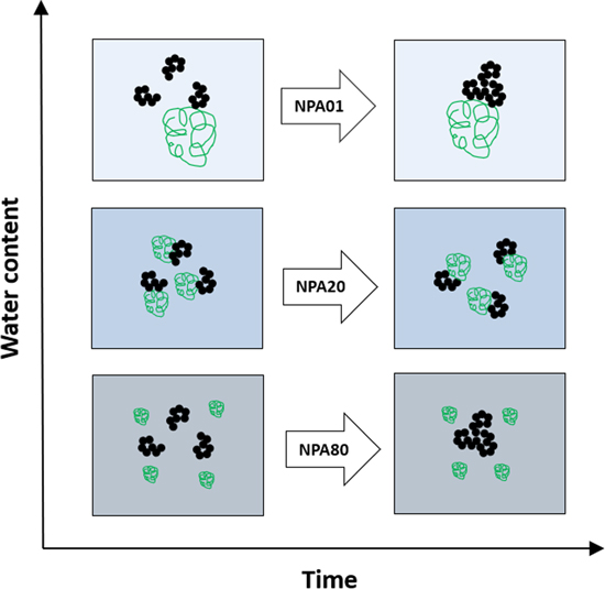 Characterization of Solvent-Dependent Ink Structure and Catalyst Layer ...