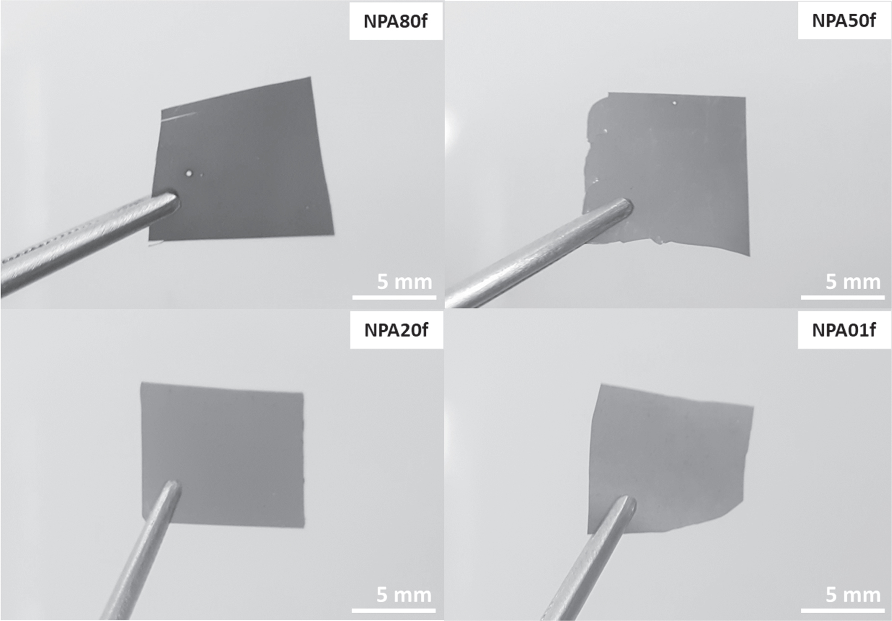 Characterization of Solvent-Dependent Ink Structure and Catalyst Layer ...