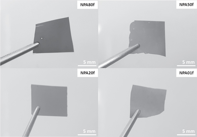 Characterization of Solvent-Dependent Ink Structure and Catalyst Layer ...