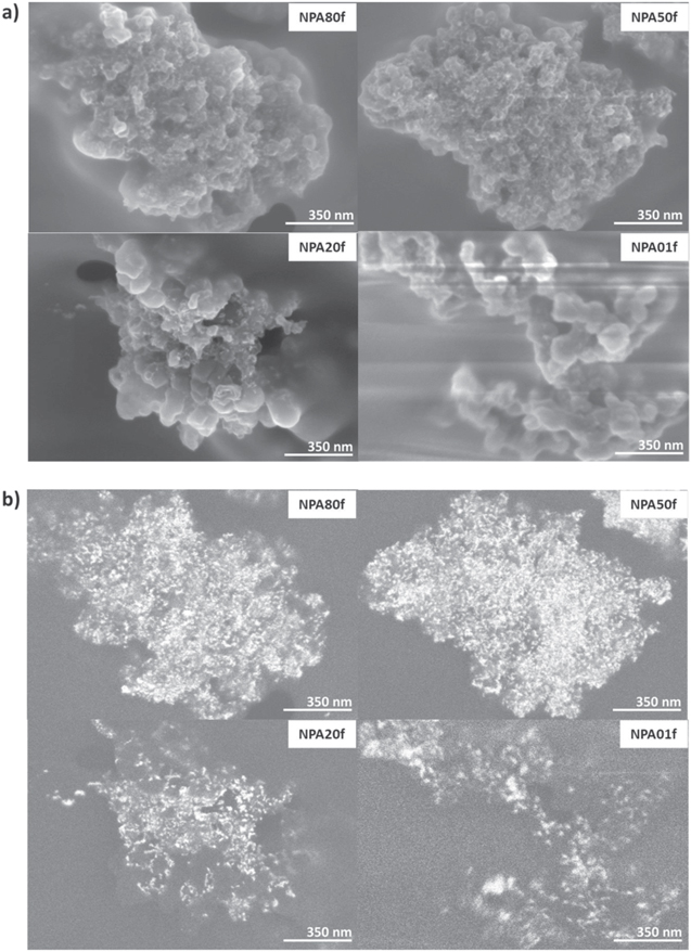 Characterization of Solvent-Dependent Ink Structure and Catalyst Layer ...