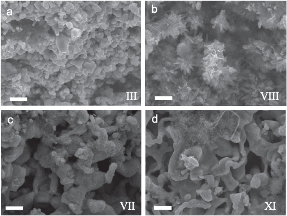 Spontaneous Formation of Porous Zinc in Rechargeable Zinc Batteries ...