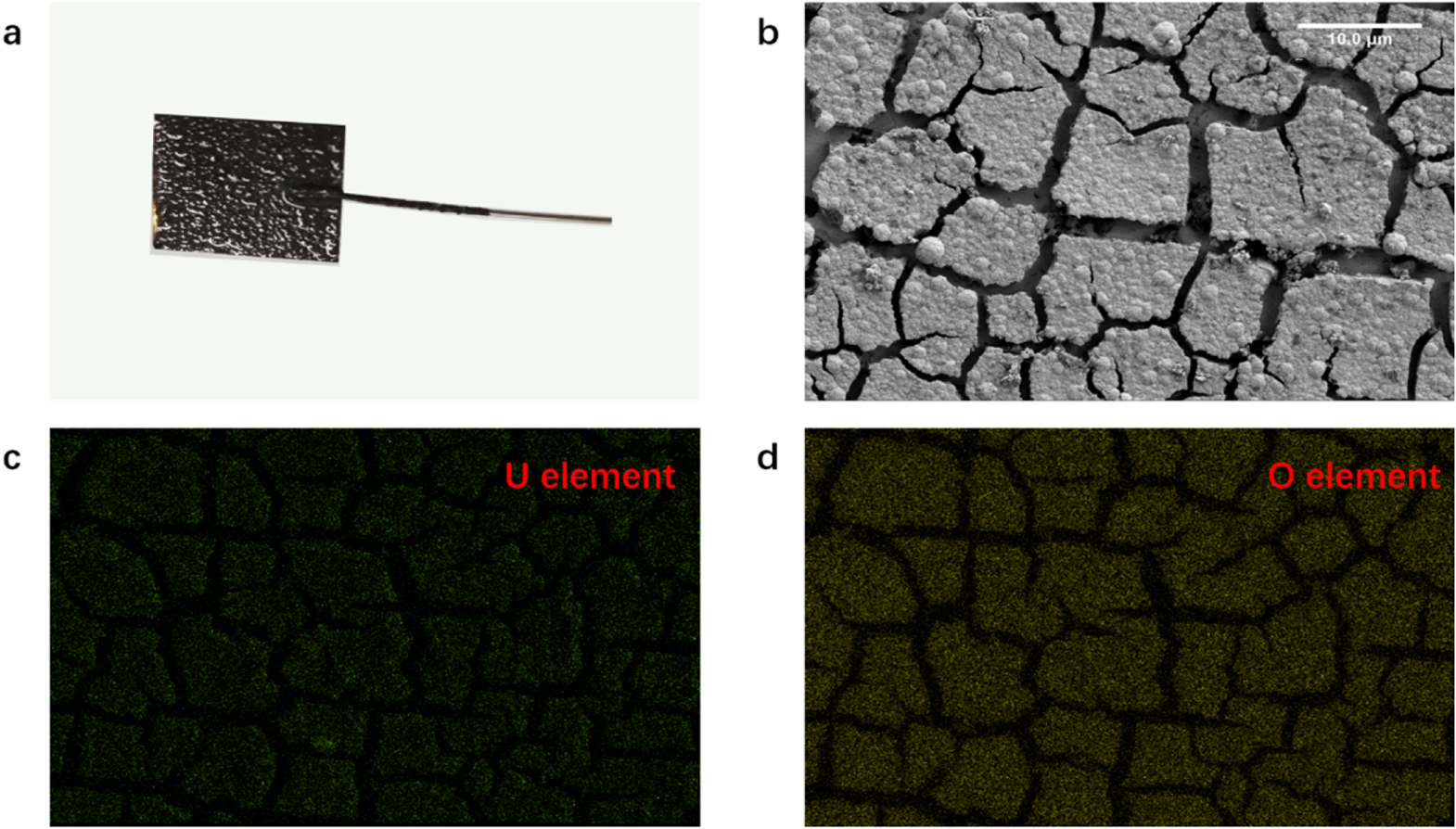 An Efficient System for Uranyl Electrodeposition and Investigation of ...