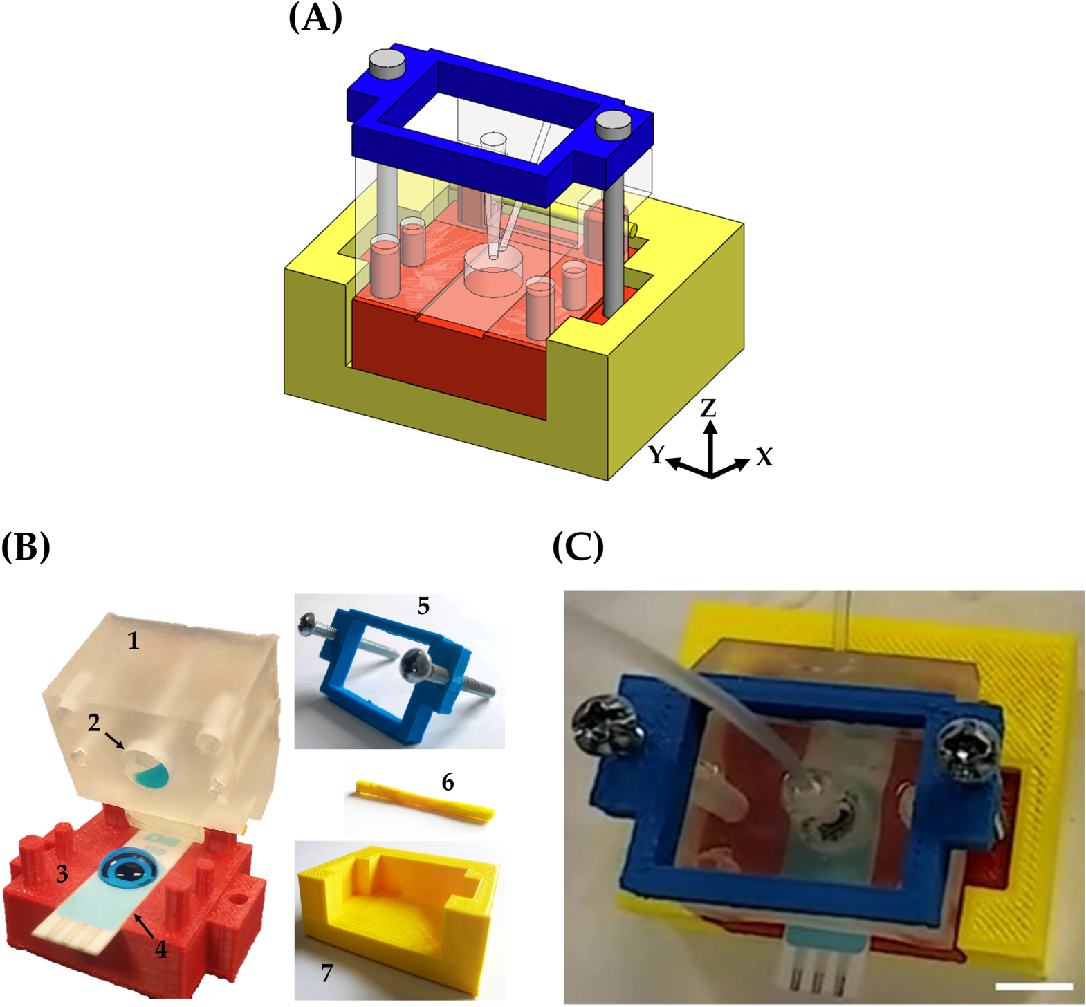 Cost-Effective 3D-Printed-Enabled Fluidic Electrochemical Sensing ...
