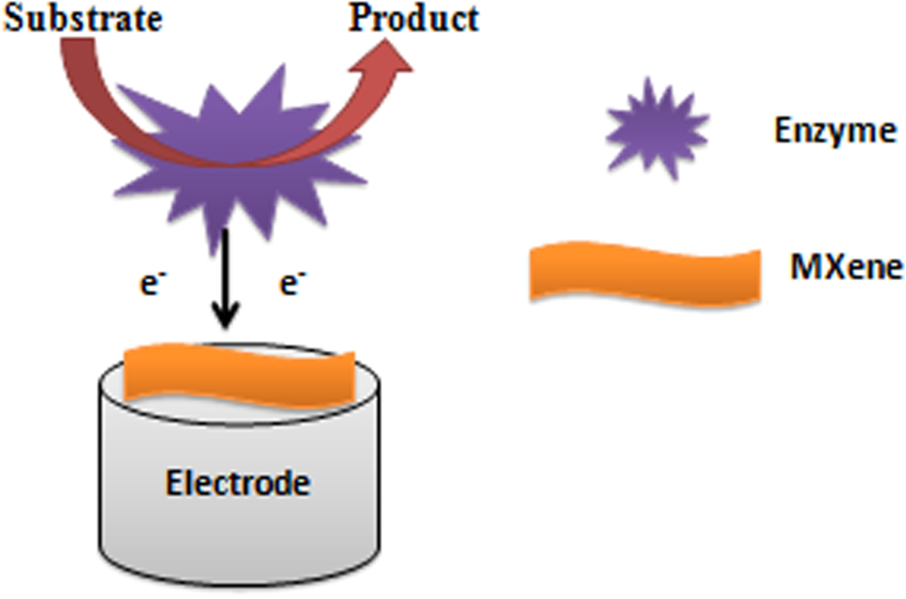 Review—MXene Based Transducer for Biosensor Applications - IOPscience