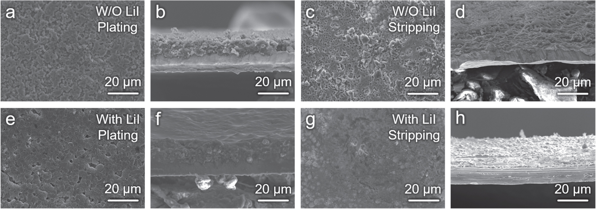 Reactivating Dead Li by Shuttle Effect for High-Performance Anode-Free ...