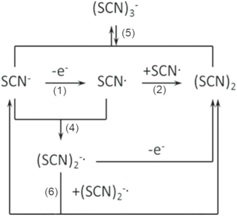 Integrated Study of the Thiocyanate Anion Electrooxidation by ...
