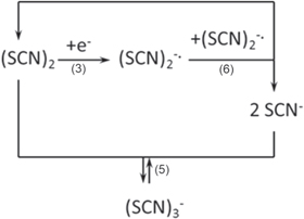 Integrated Study of the Thiocyanate Anion Electrooxidation by ...