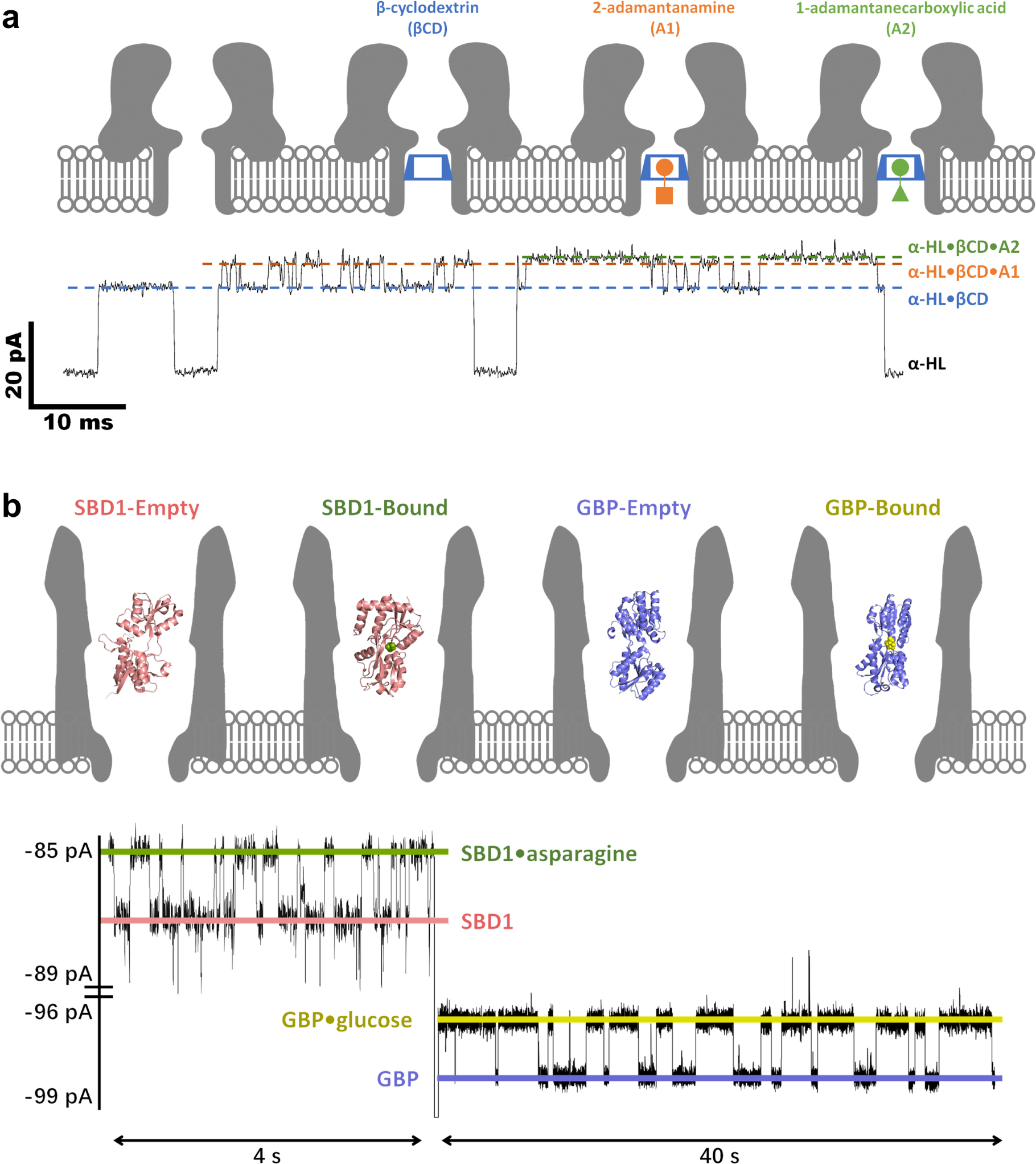 Review—Single-Molecule Sensors Based on Protein Nanopores - IOPscience