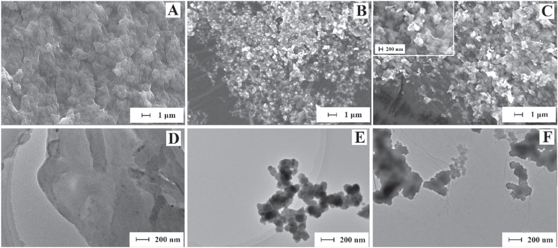 Determination of Uric Acid in Biological Fluids by Ceria Nanoparticles ...