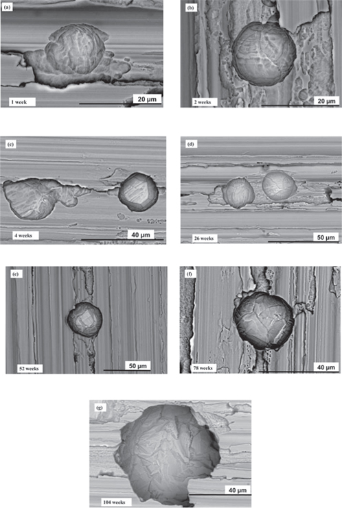 Long-Term Effects of Humidity on Stainless Steel Pitting in Sea Salt ...