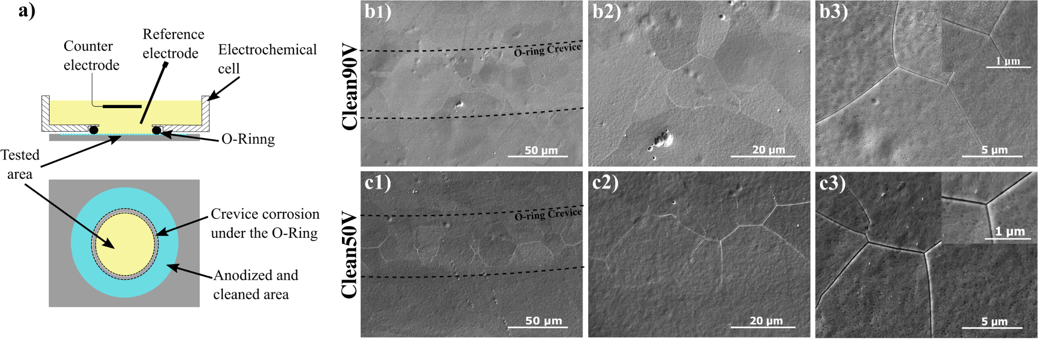 Corrosion Behavior of Anodic Self-Ordered Porous Oxide Layers on ...