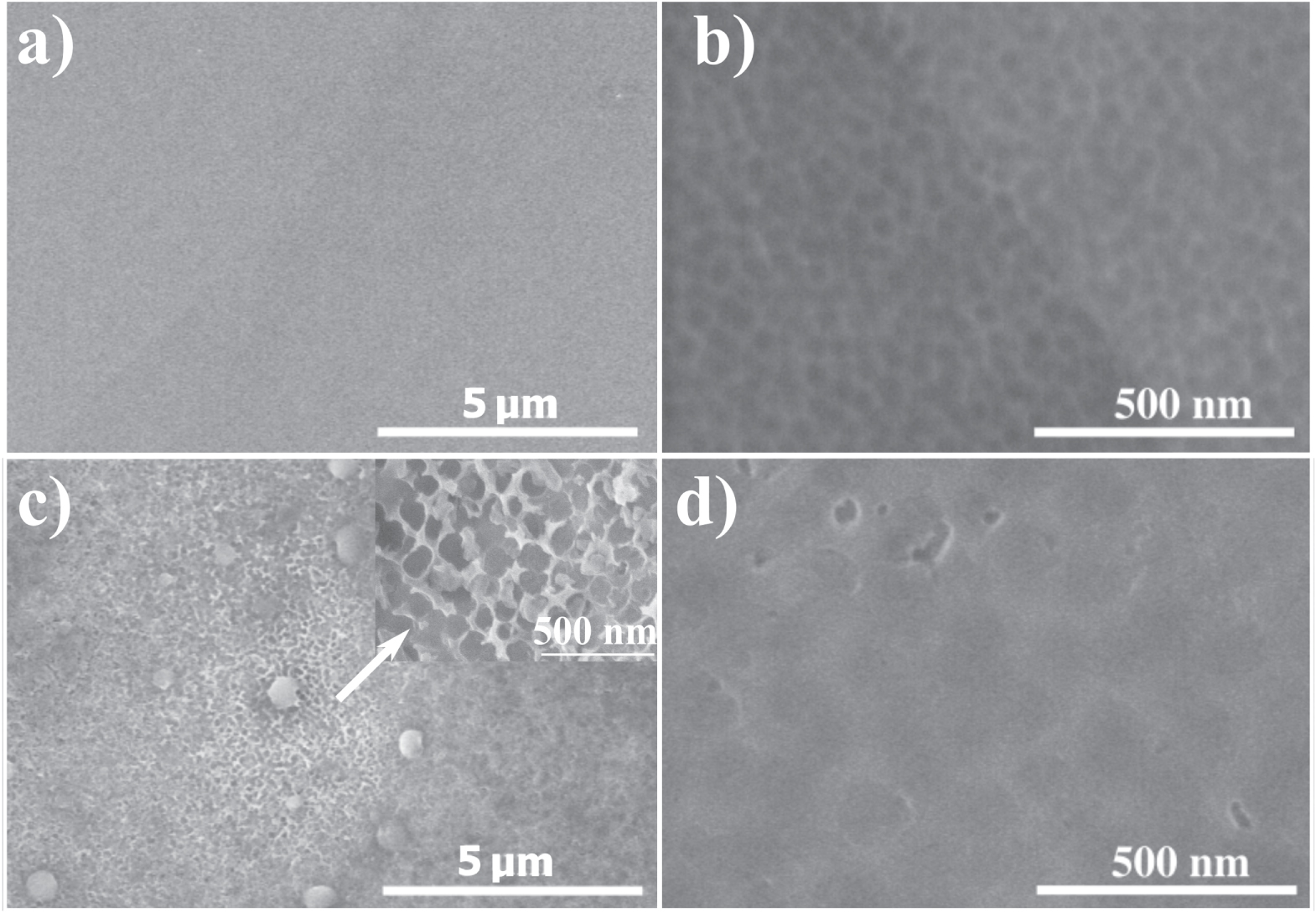 Corrosion Behavior of Anodic Self-Ordered Porous Oxide Layers on ...