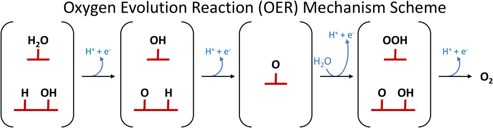 Multiple Reaction Pathways for the Oxygen Evolution Reaction May ...