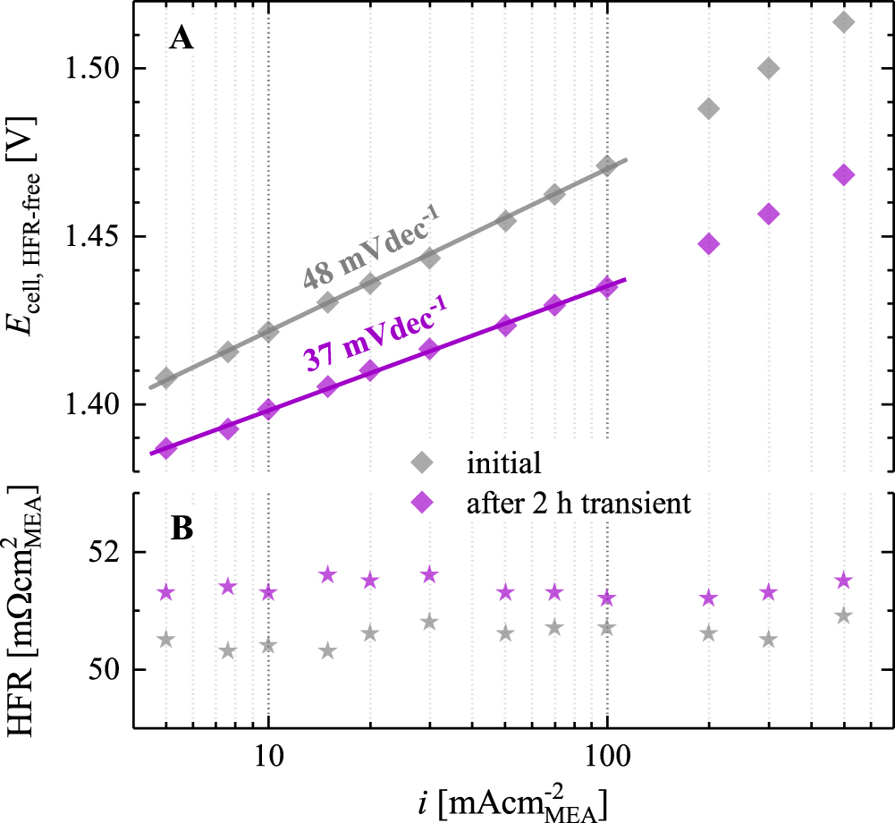 Transformation of the OER-Active IrOx Species under Transient Operation ...