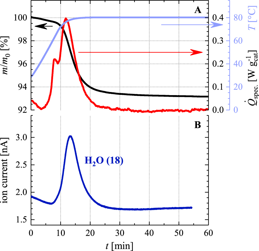 Transformation of the OER-Active IrOx Species under Transient Operation ...
