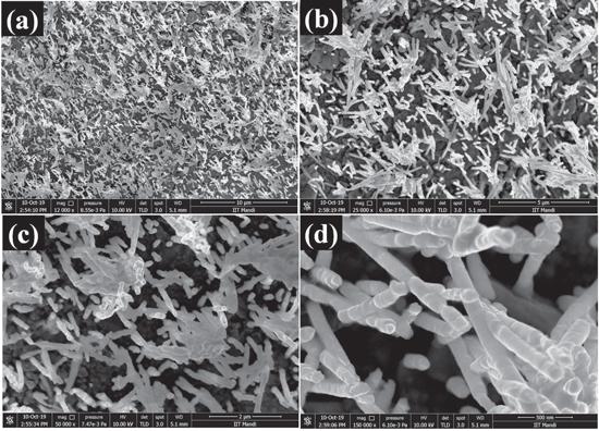 Review—Recent Advances in Tin Oxide Nanomaterials as Electrochemical ...