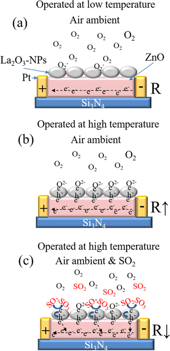 A La2O3-NPs/ZnO/MEMS SO2 Gas Sensor - IOPscience