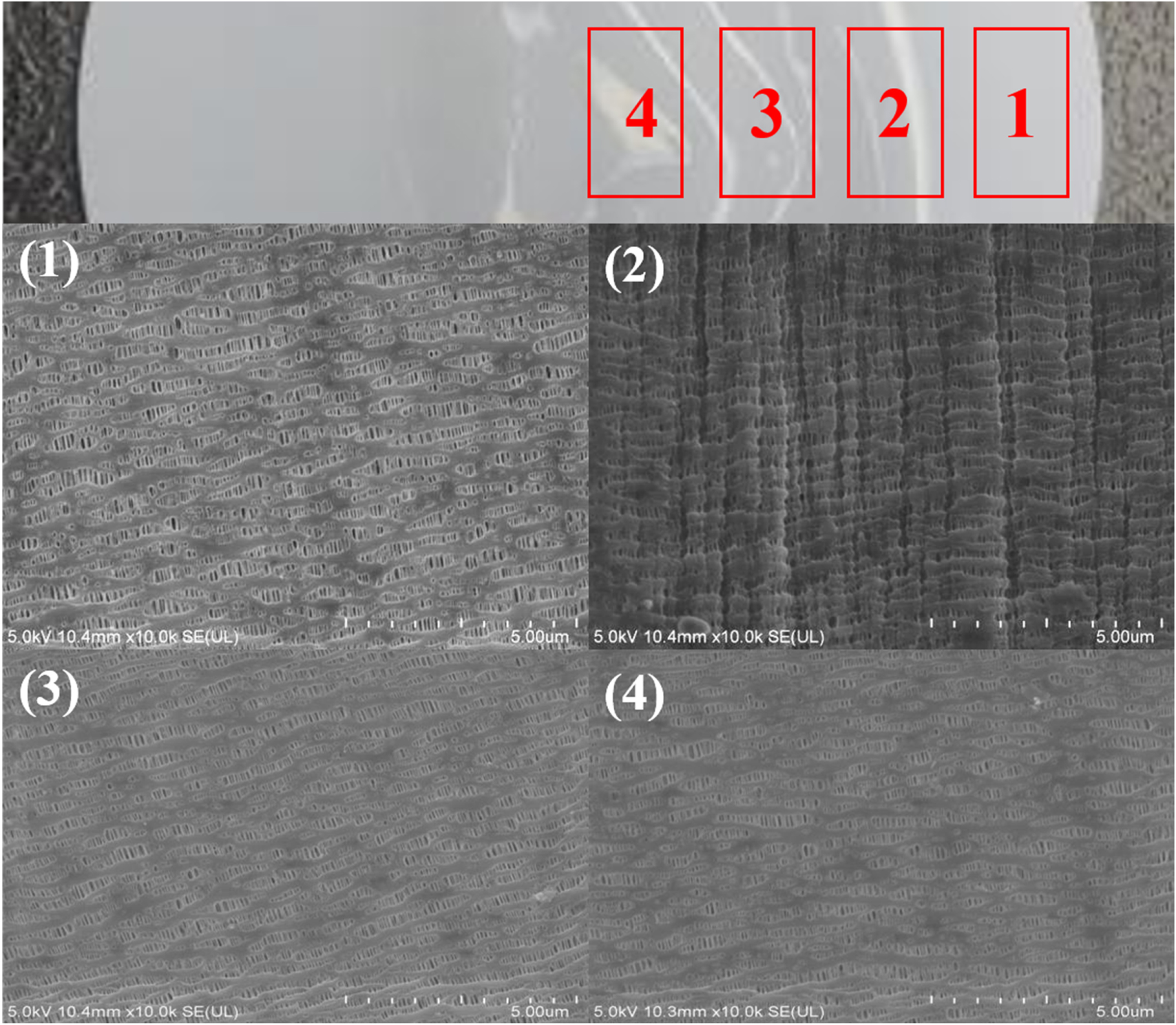 Separator Aging and Performance Degradation Caused by Battery Expansion ...