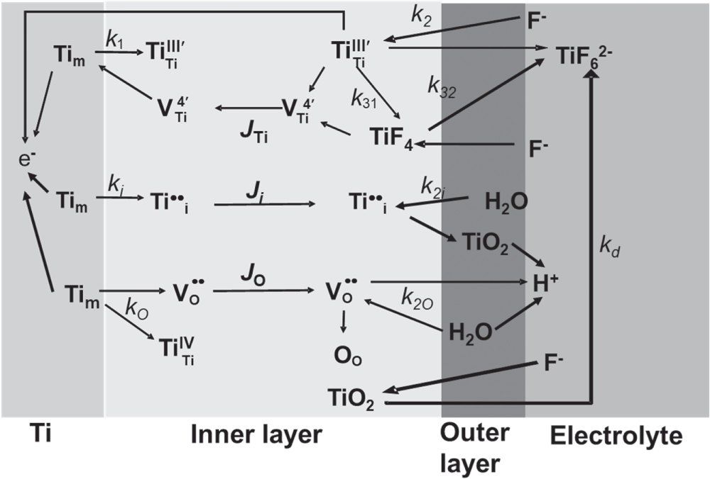 Parameterization and Extension of a Model of Oxide Growth by a Multi ...