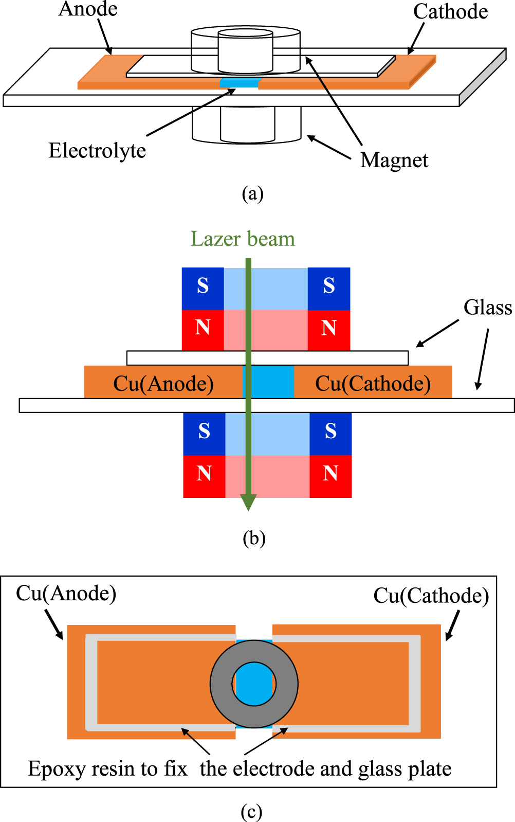 In Situ Observation of Cu2+ Concentration Profile During Cu Dissolution ...
