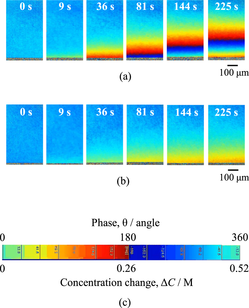 In Situ Observation of Cu2+ Concentration Profile During Cu Dissolution ...