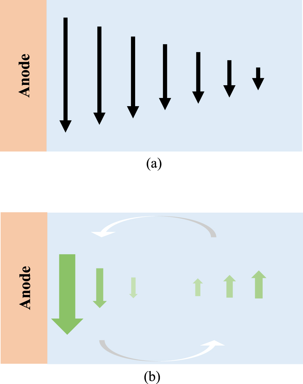 In Situ Observation of Cu2+ Concentration Profile During Cu Dissolution ...