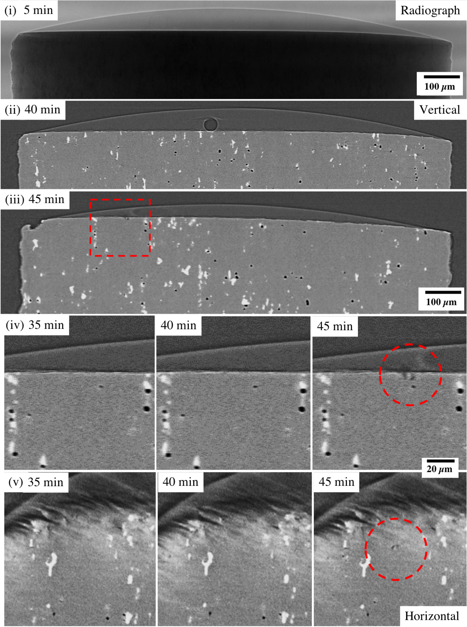 In Situ X-ray Tomography Observations of Initiation and Propagation of ...