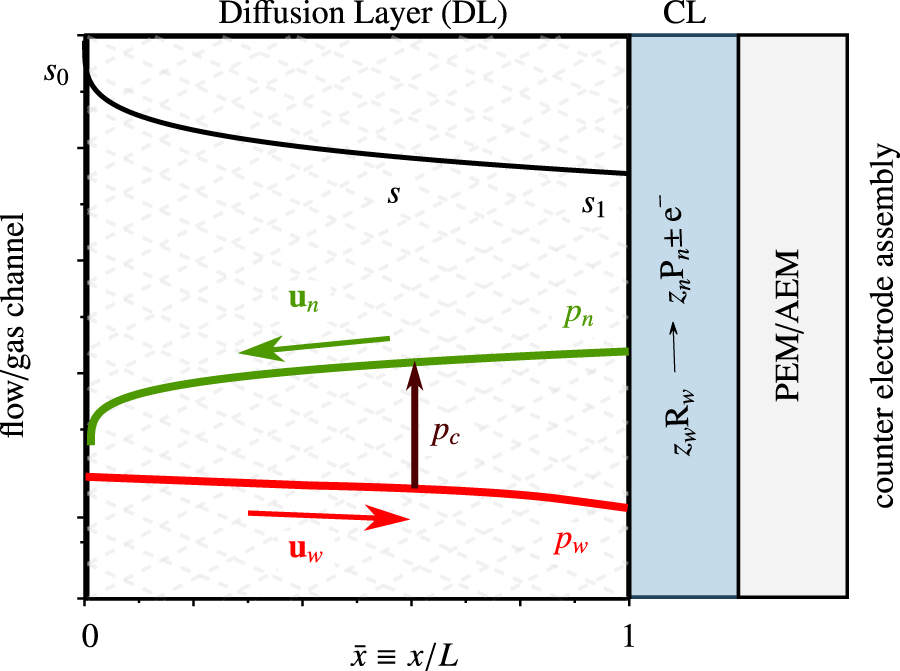 An Analytical Model for Liquid and Gas Diffusion Layers in ...