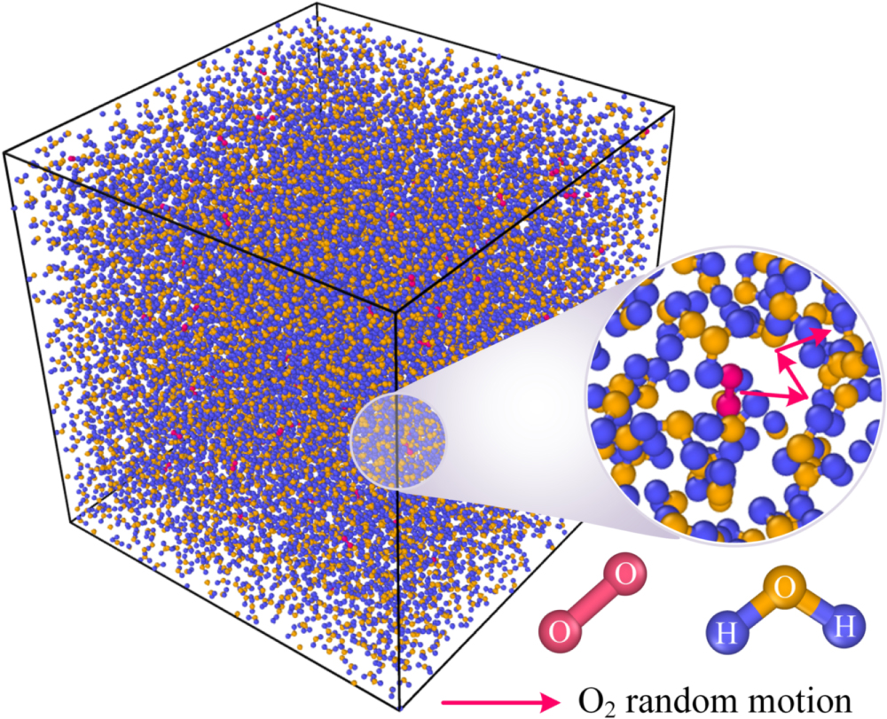 Molecular Dynamics Simulation of Diffusion and O2 Dissolution in Water ...