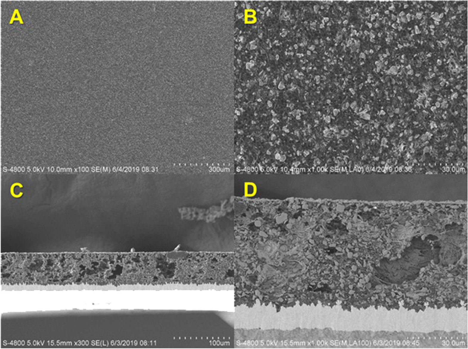 High Porosity Single-Phase Silicon Negative Electrode Made with Phase ...