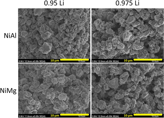 Synthesis of Co-Free Ni-Rich Single Crystal Positive Electrode ...